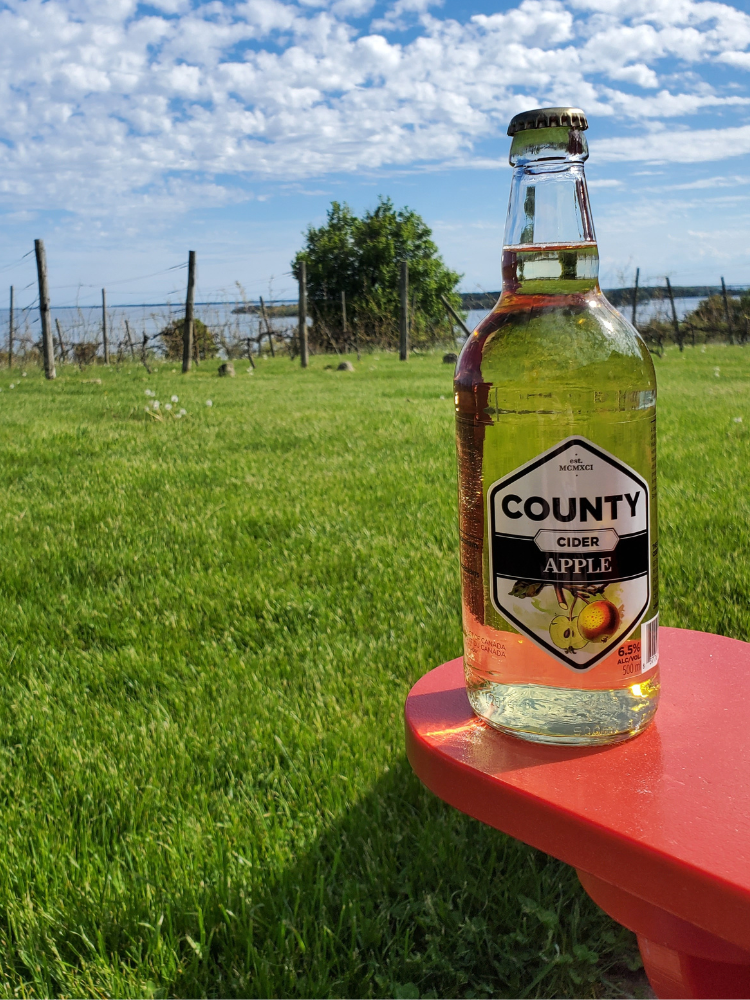 How to Make a County Cider Margarita – The County Cider Company