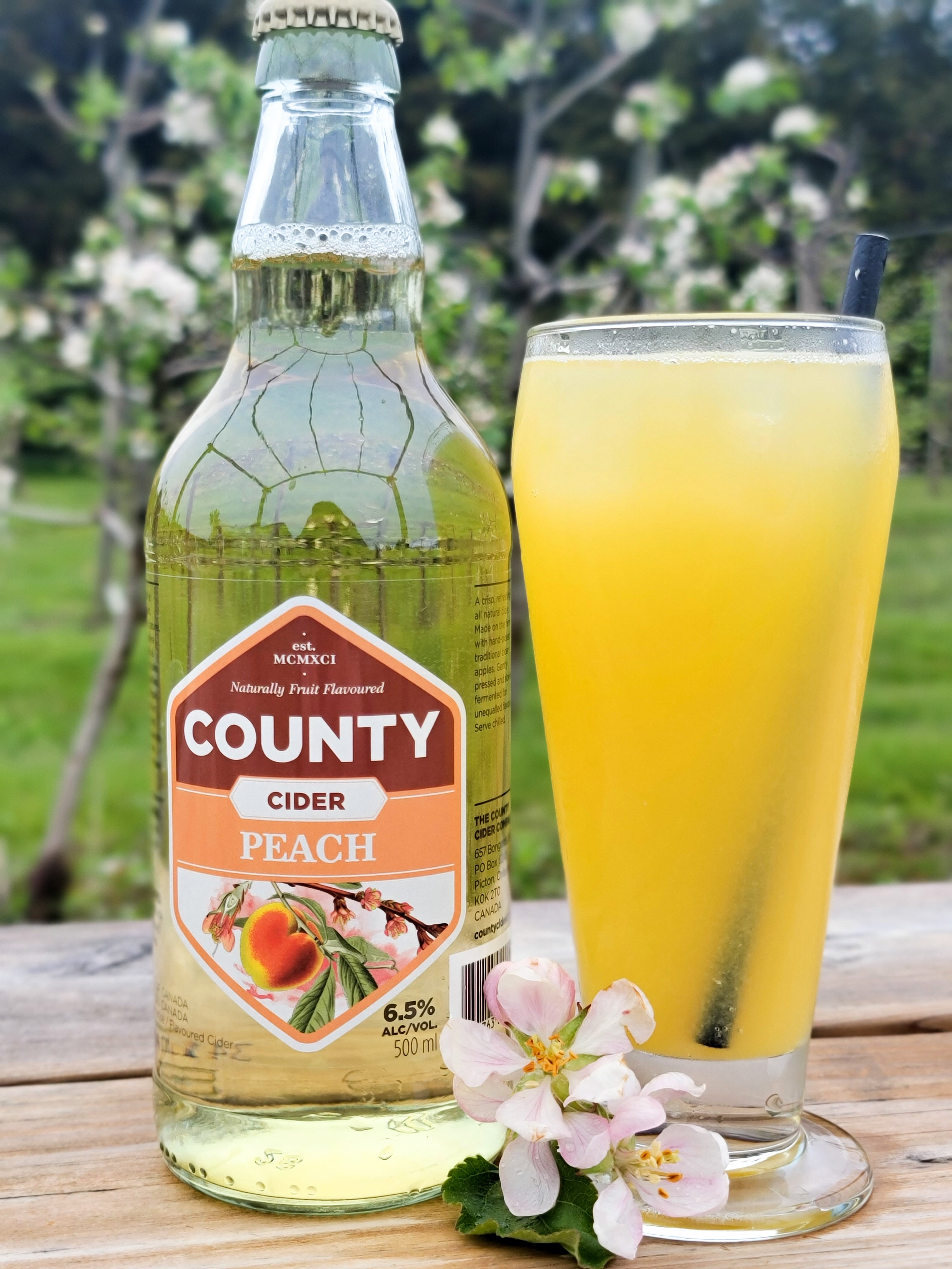 Fizzy Fuzzy Navel - The Ultimate Mimosa – The County Cider Company