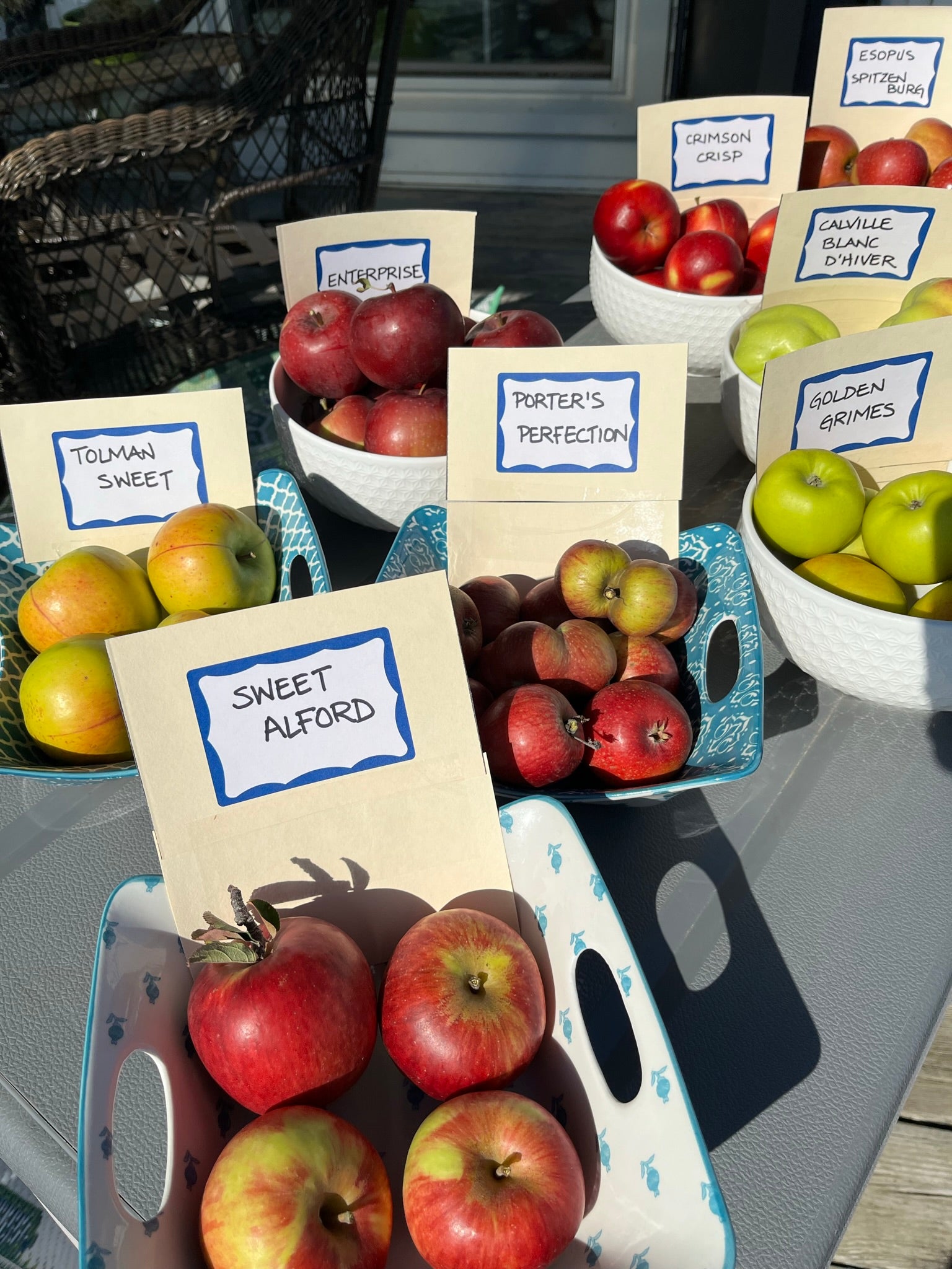 The Many Apples of County Cider – The County Cider Company